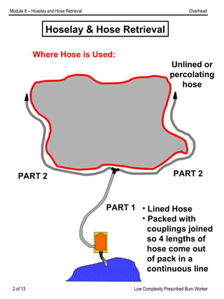 Mod 6 hoselays | PPT