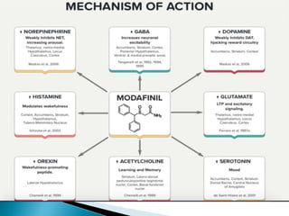 Modafinil | PPTX