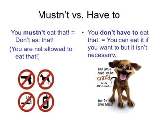 Modal Verbs - Can Could Be Able To - Powerpoint Presentation | PPT