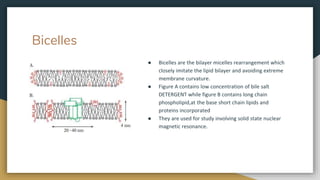 Modal membranes ) | PPTX