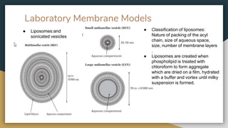 Modal membranes ) | PPTX