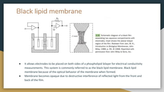 Modal membranes ) | PPTX