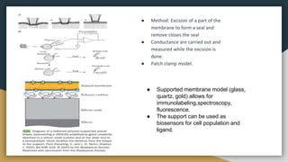 Modal membranes ) | PPTX