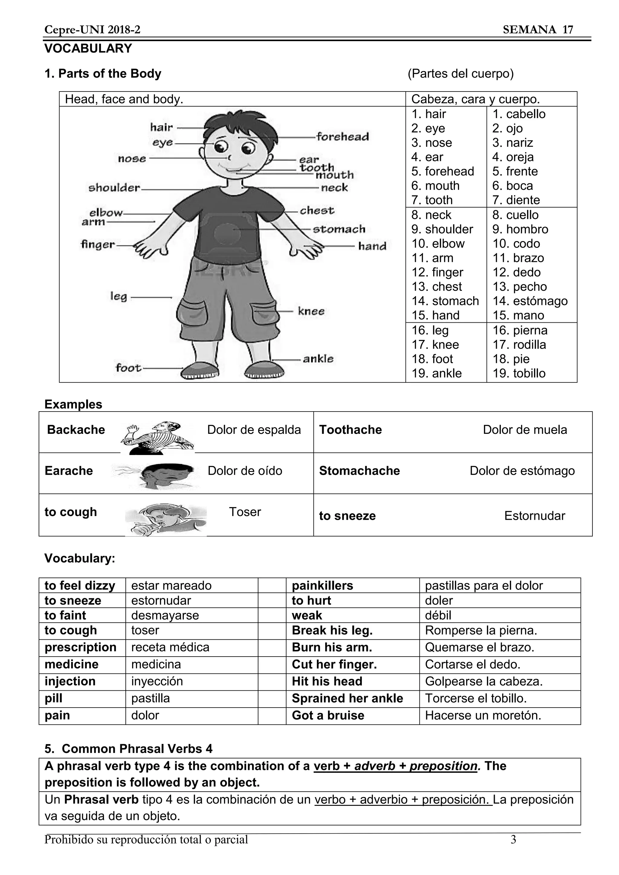 Modal verb, have to, don't have to 17 | PDF