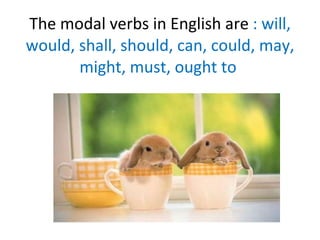 Modal Verbs | PPT