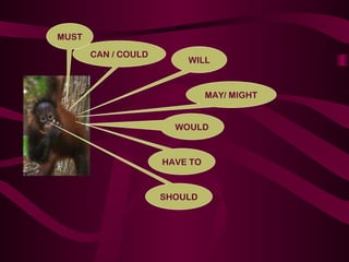 Modal verbs | PPT