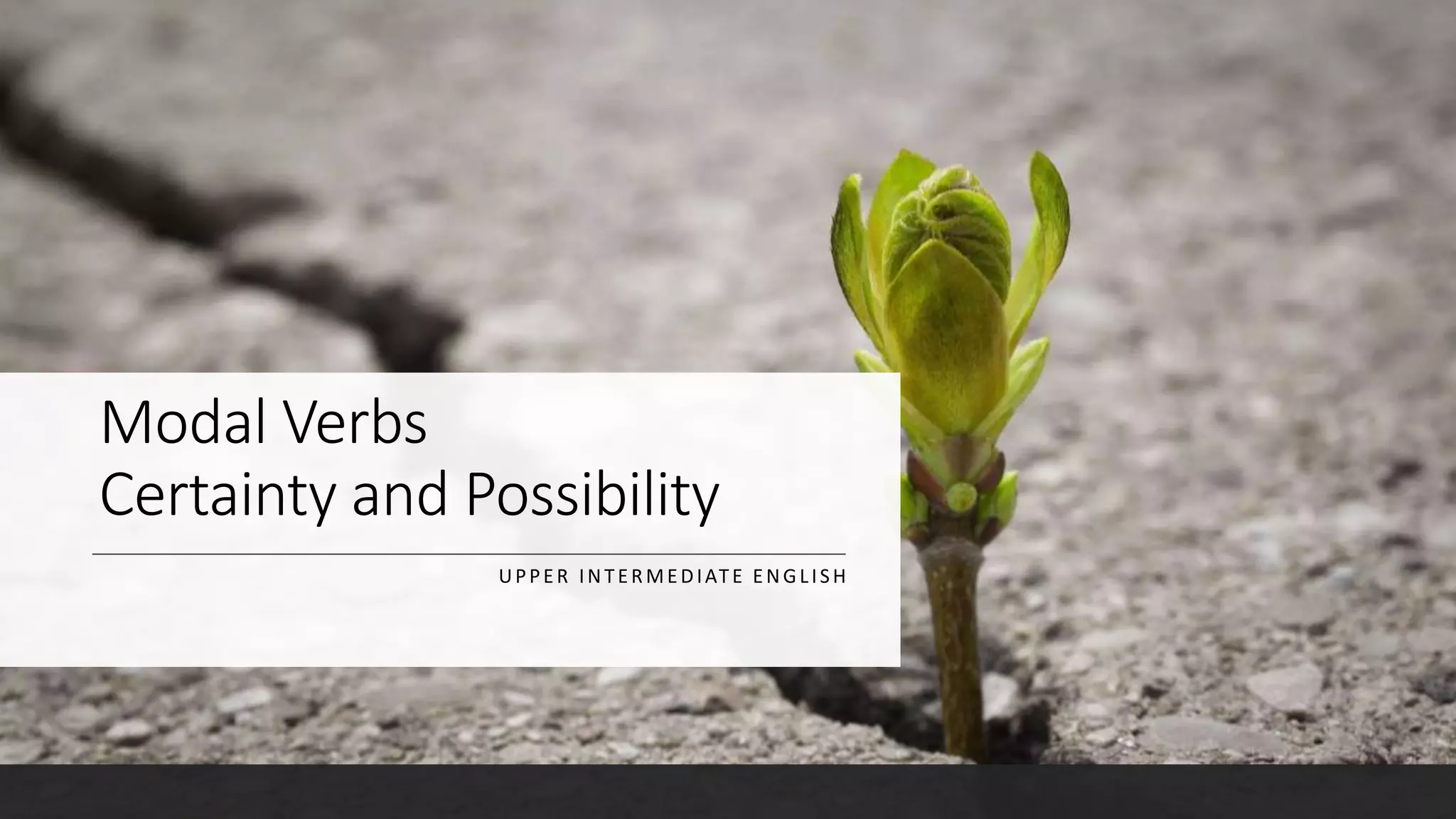 Modal verbs certainty and possibility | PPT