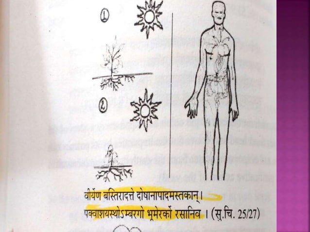 MODE OF ACTION OF BASTI KARMA | PPTX
