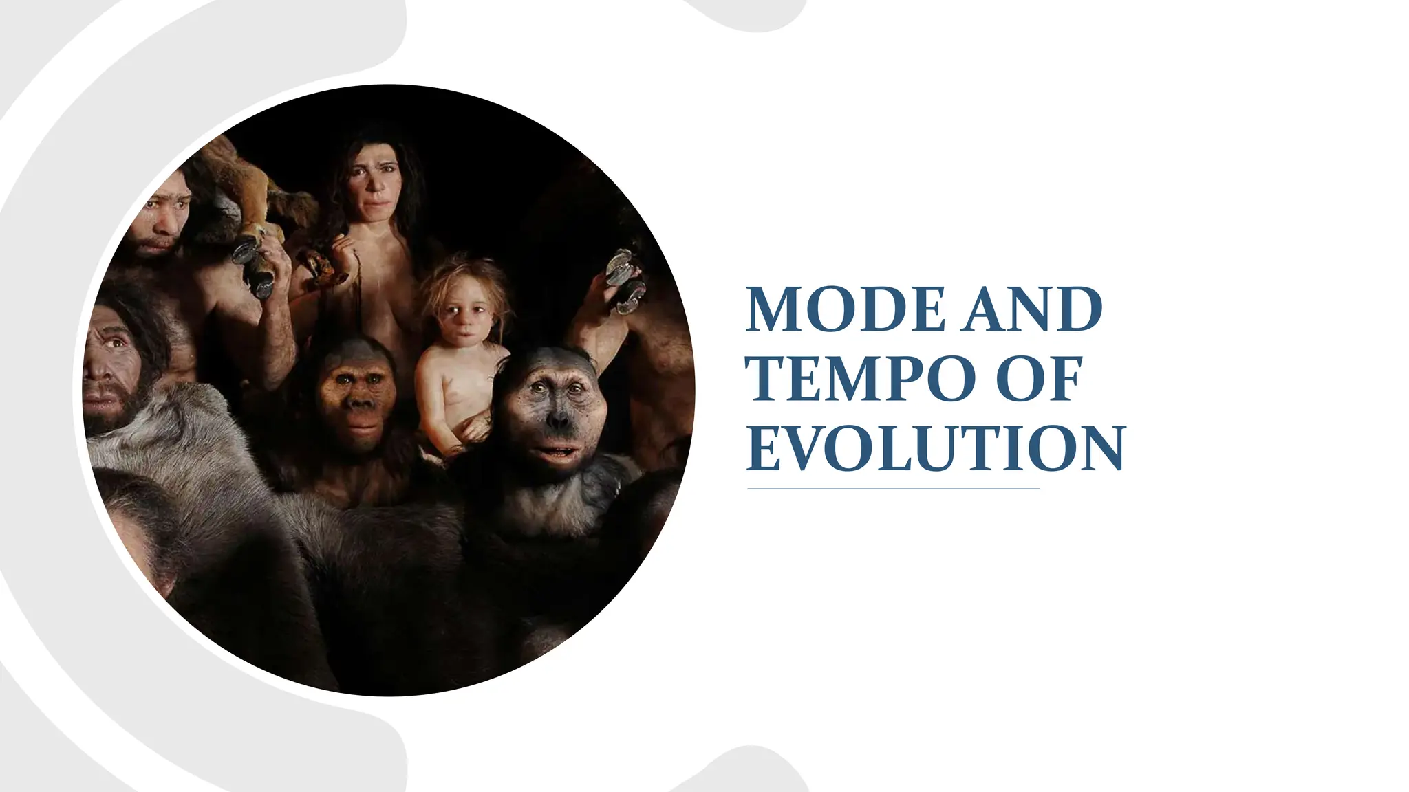 Mode and tempo of evolution refer to the patterns and rates at which ...
