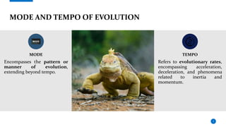 Mode and tempo of evolution - Sky Lawa-an | PPTX