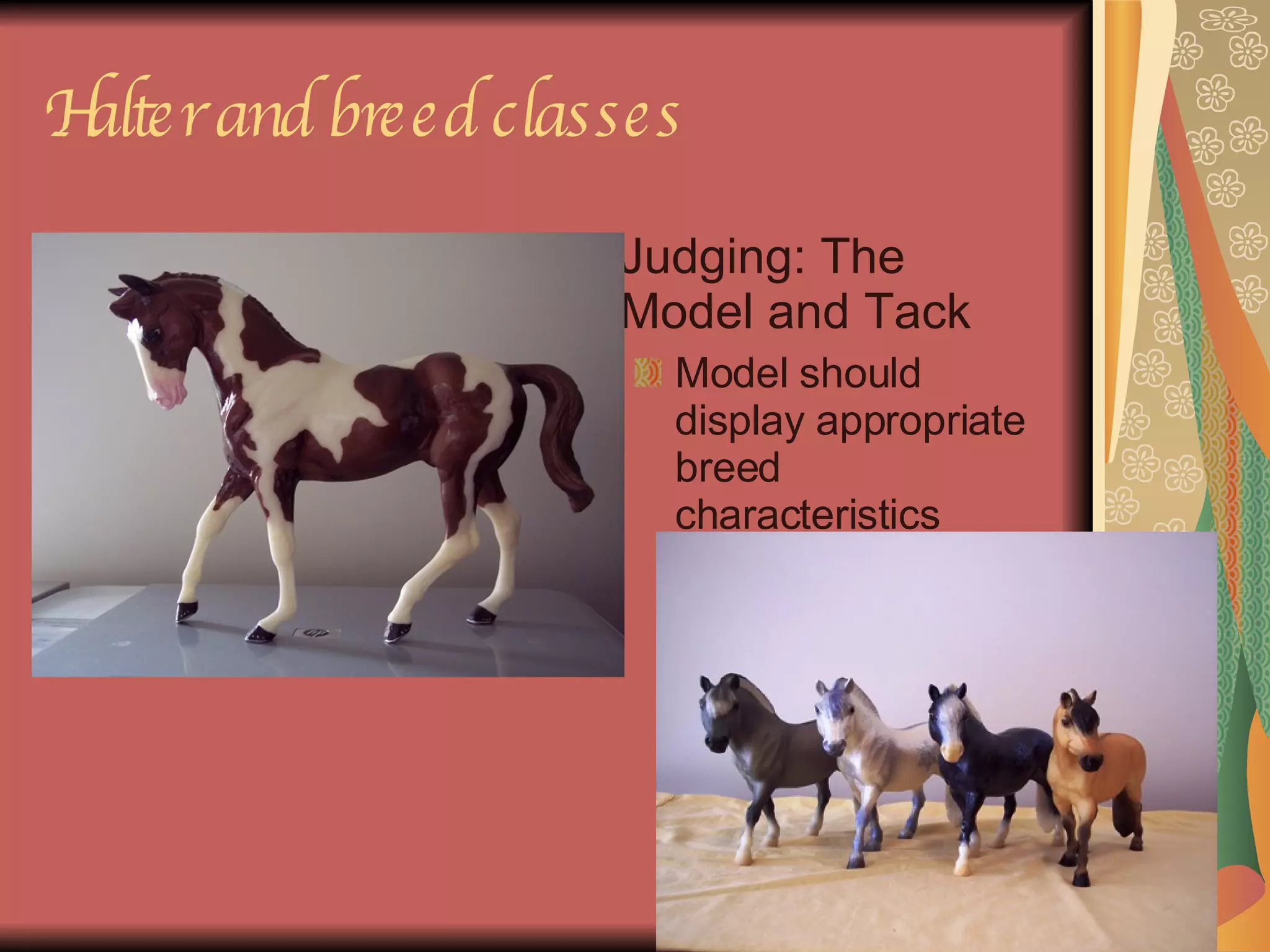 Model Horse Intro Slideshow | PPT