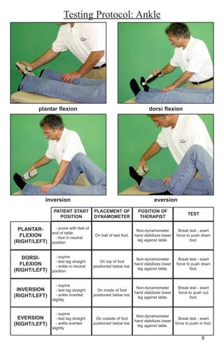 Baseline 500 lb Analog Hydraulic Push Pull Dynamometer User Manual | PDF