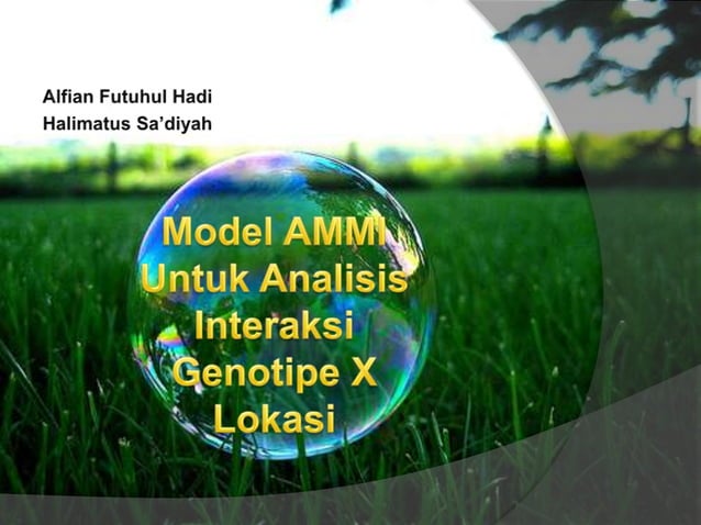 Model Ammi Untuk Analisis Interaksi Genotipe X Lokasi (Indra Herlangga) | PPTX