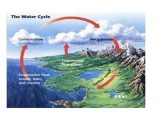 Ecosystem Models & Biogeochemical Cycles | PPTX