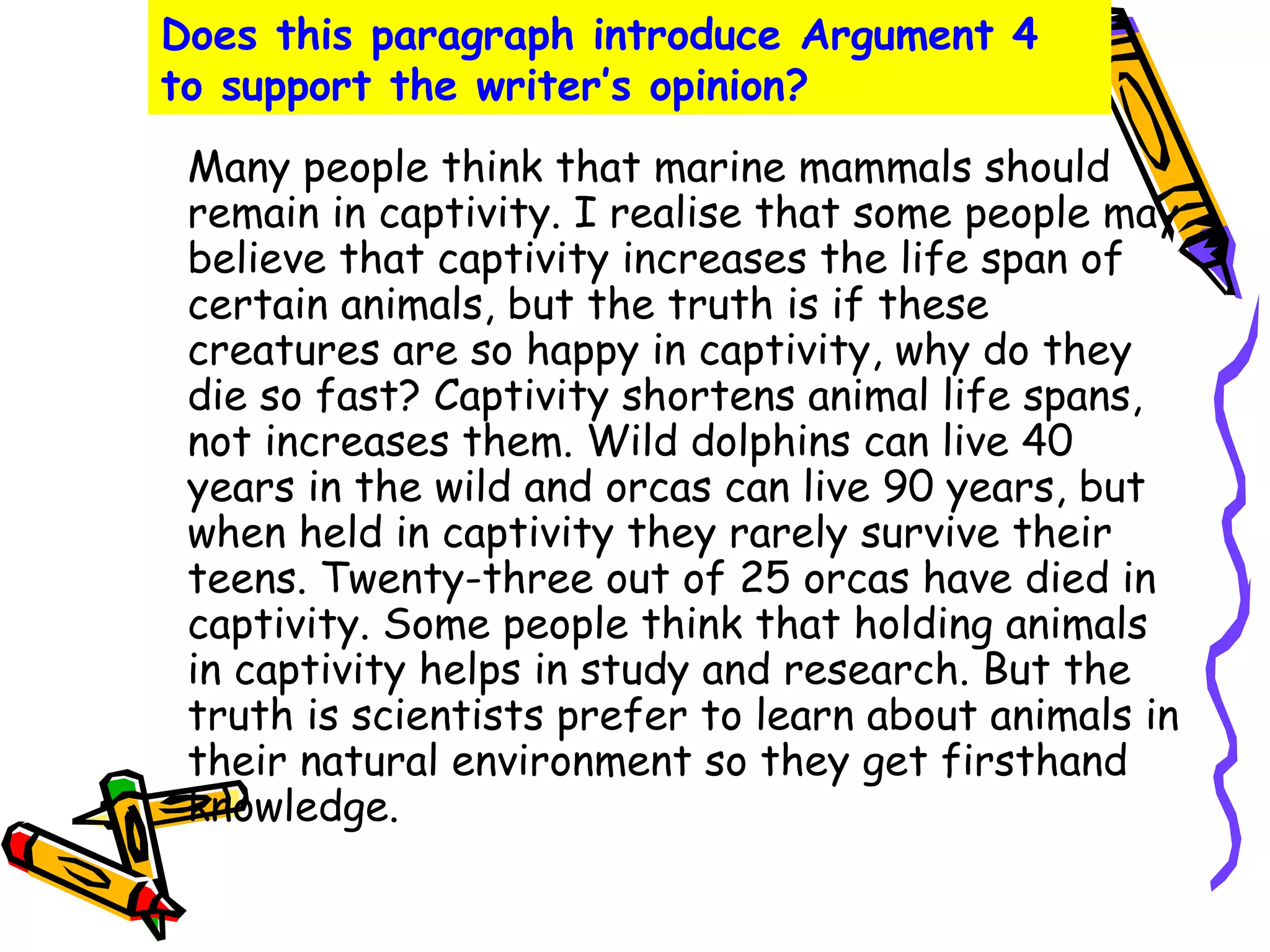 Argumentative Essay Presentation Slides | PPT