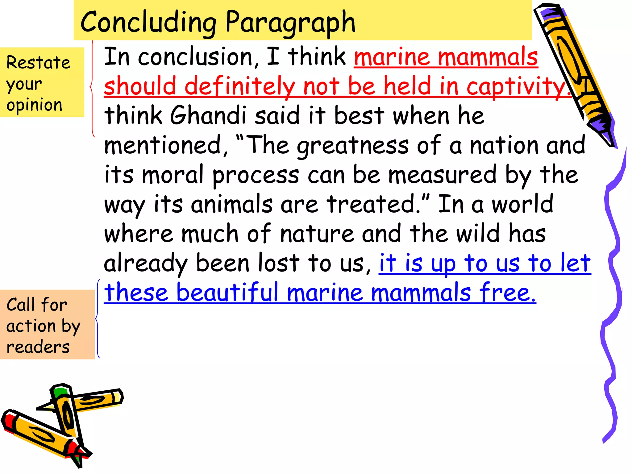 Argumentative Essay Presentation Slides | PPT