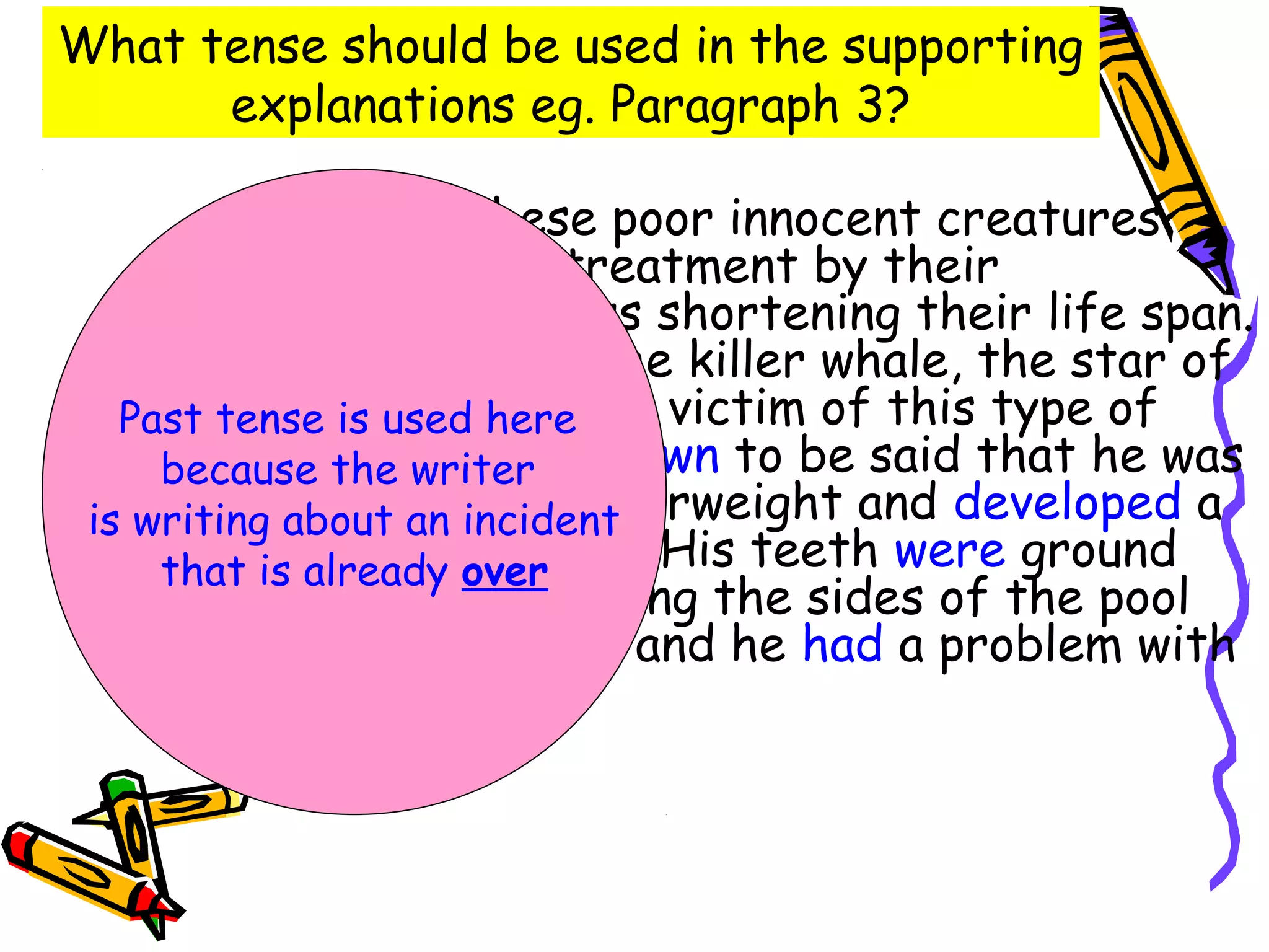 Argumentative Essay Presentation Slides | PPT