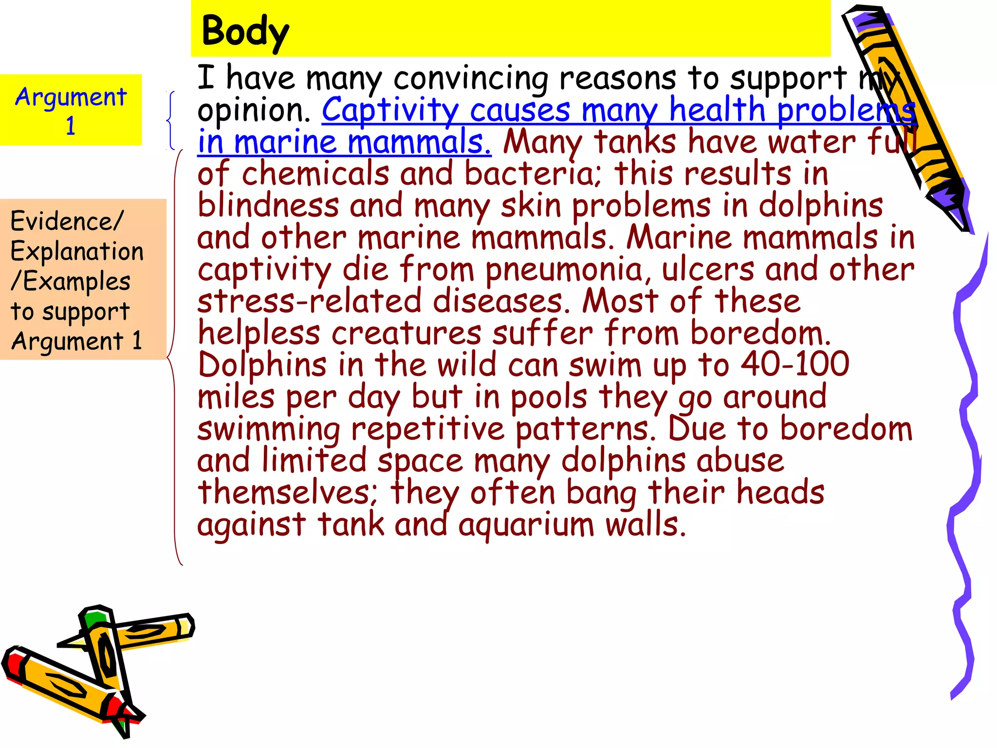 Argumentative Essay Presentation Slides | PPT