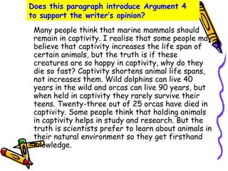 Argumentative Essay Presentation Slides | PPT