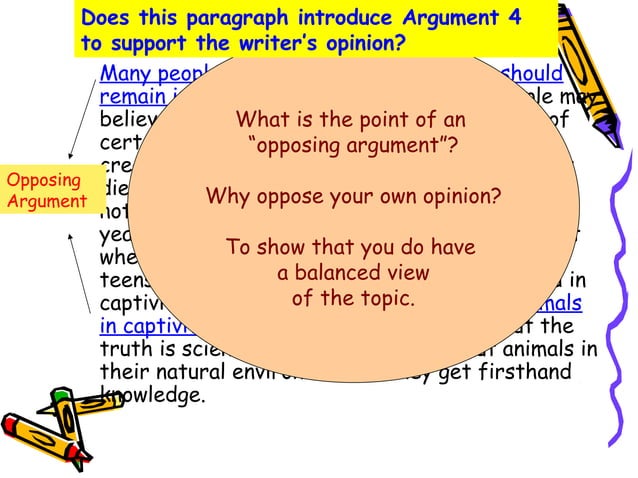 Argumentative Essay Presentation Slides | PPT