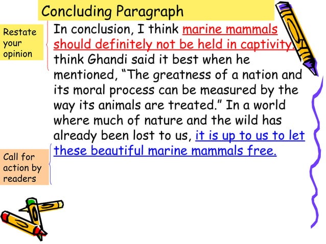 Argumentative Essay Presentation Slides | PPT