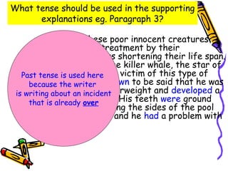 Argumentative Essay Presentation Slides | PPT