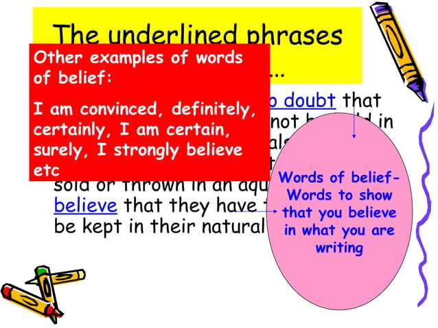 Argumentative Essay Presentation Slides | PPT