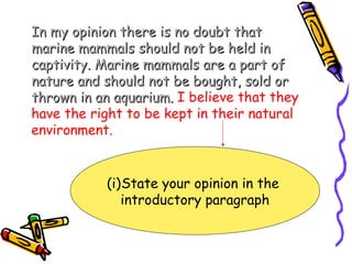 Argumentative Essay Presentation Slides | PPT