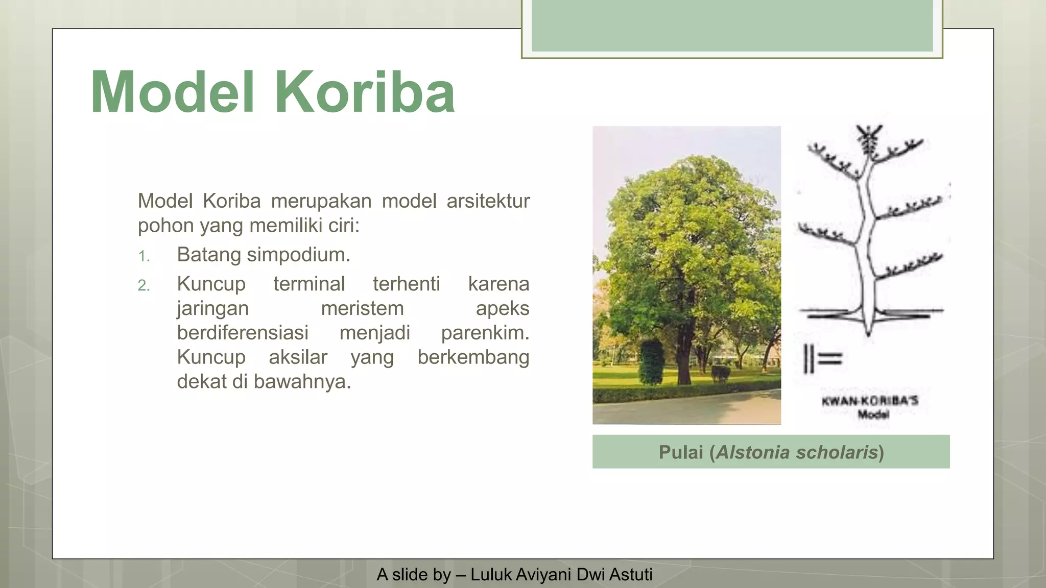 Model Arsitektur Pohon | PPTX