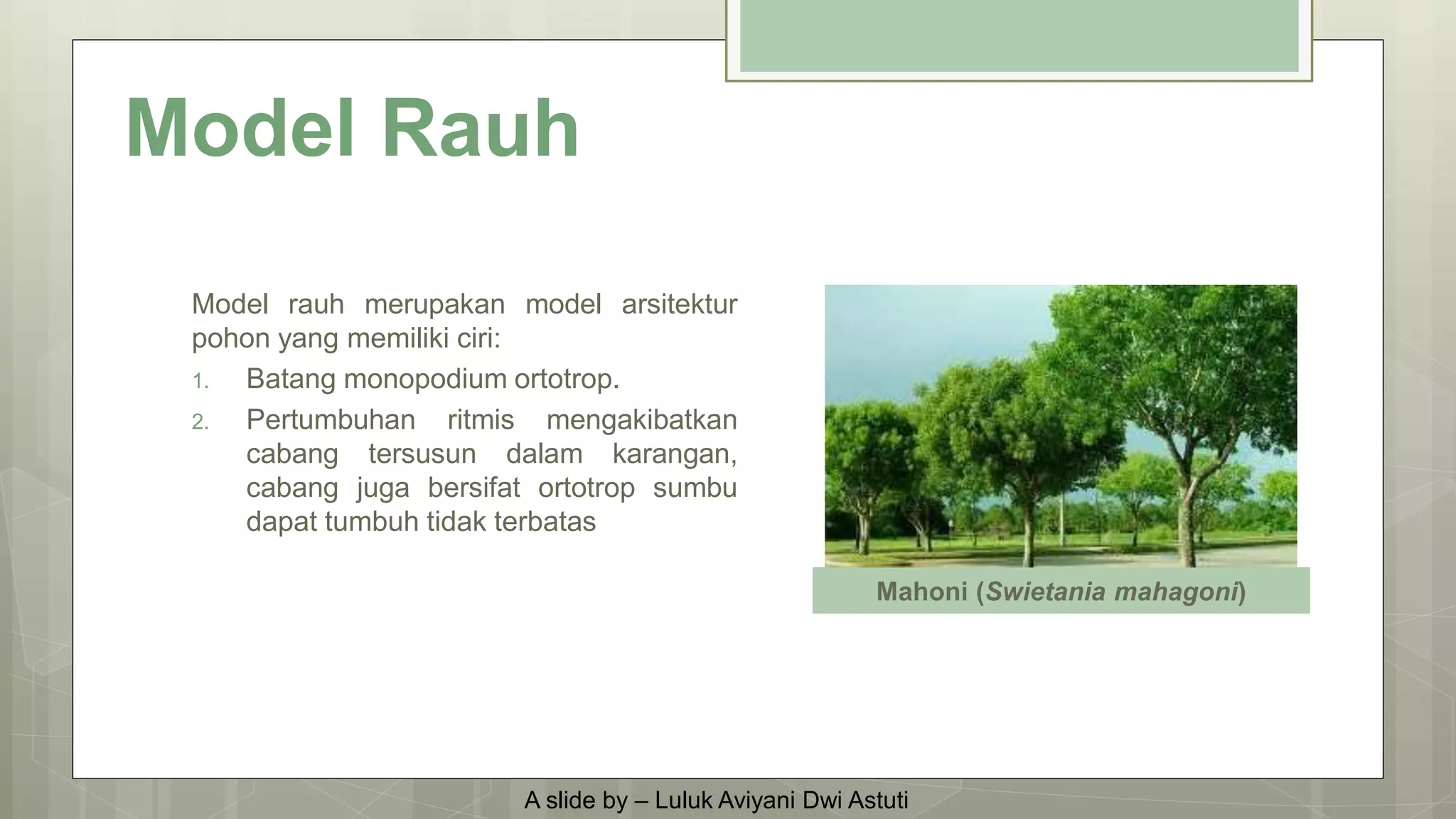 Model Arsitektur Pohon | PPTX