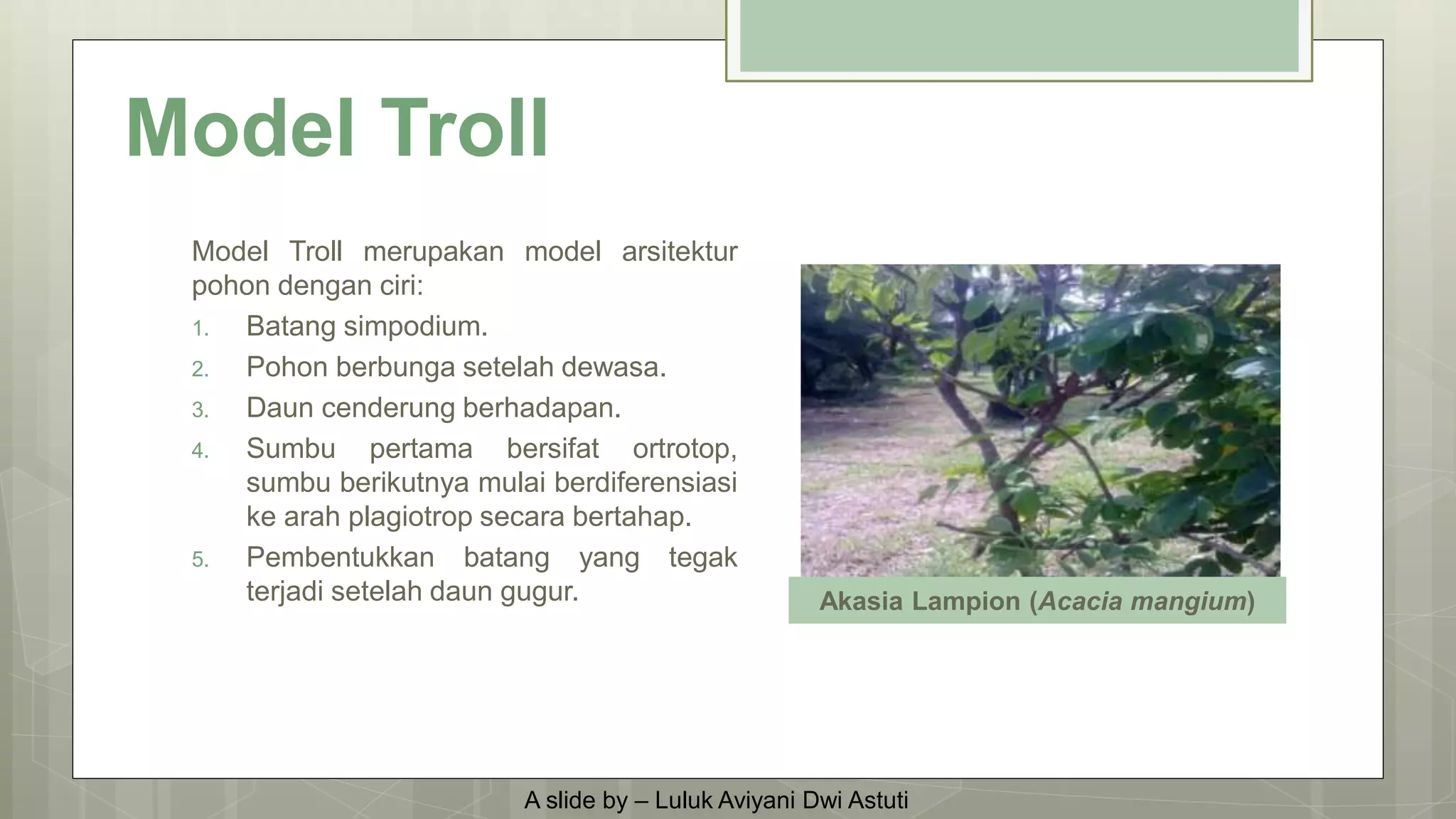 Model Arsitektur Pohon | PPTX