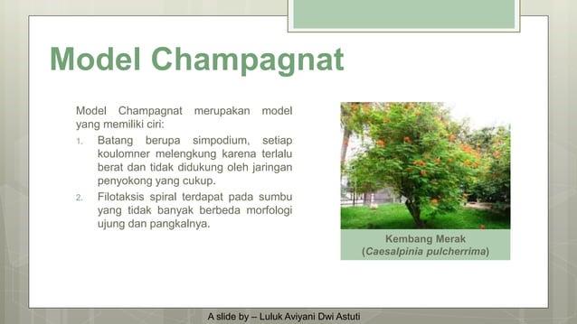 Model Arsitektur Pohon | PPTX