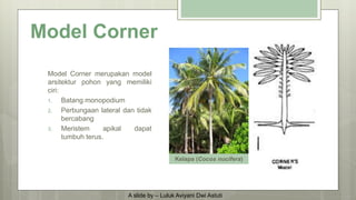 Model Arsitektur Pohon | PPTX