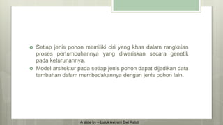 Model Arsitektur Pohon | PPTX