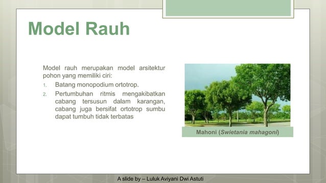 Model Arsitektur Pohon