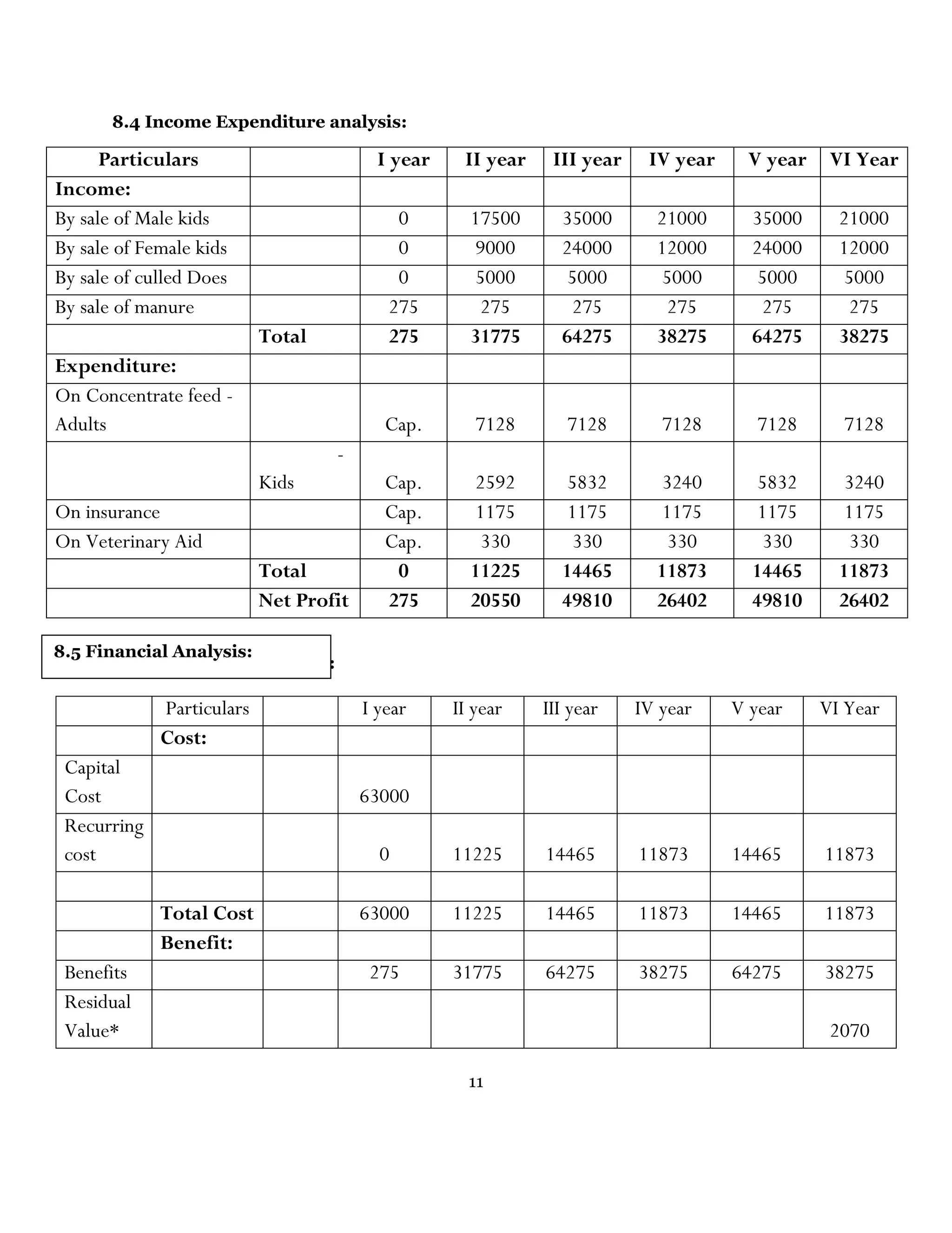 Model bankable scheme on goat - NABARD - 10 animals | PDF