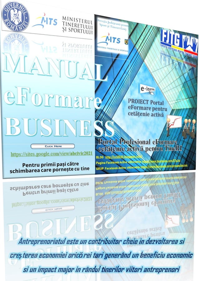 Model buget plan afaceri fjtg djst | PDF