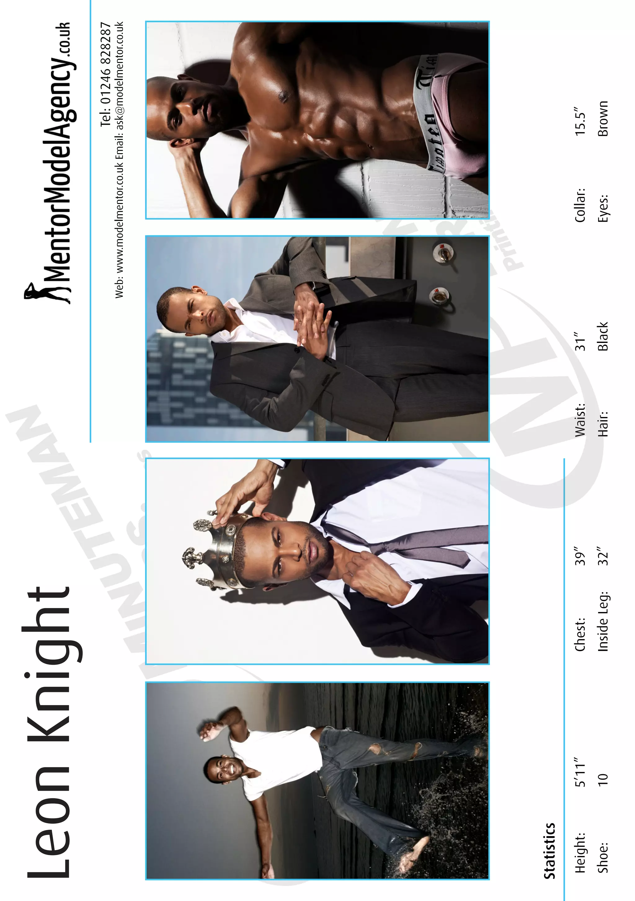 Model Card Leon | PDF