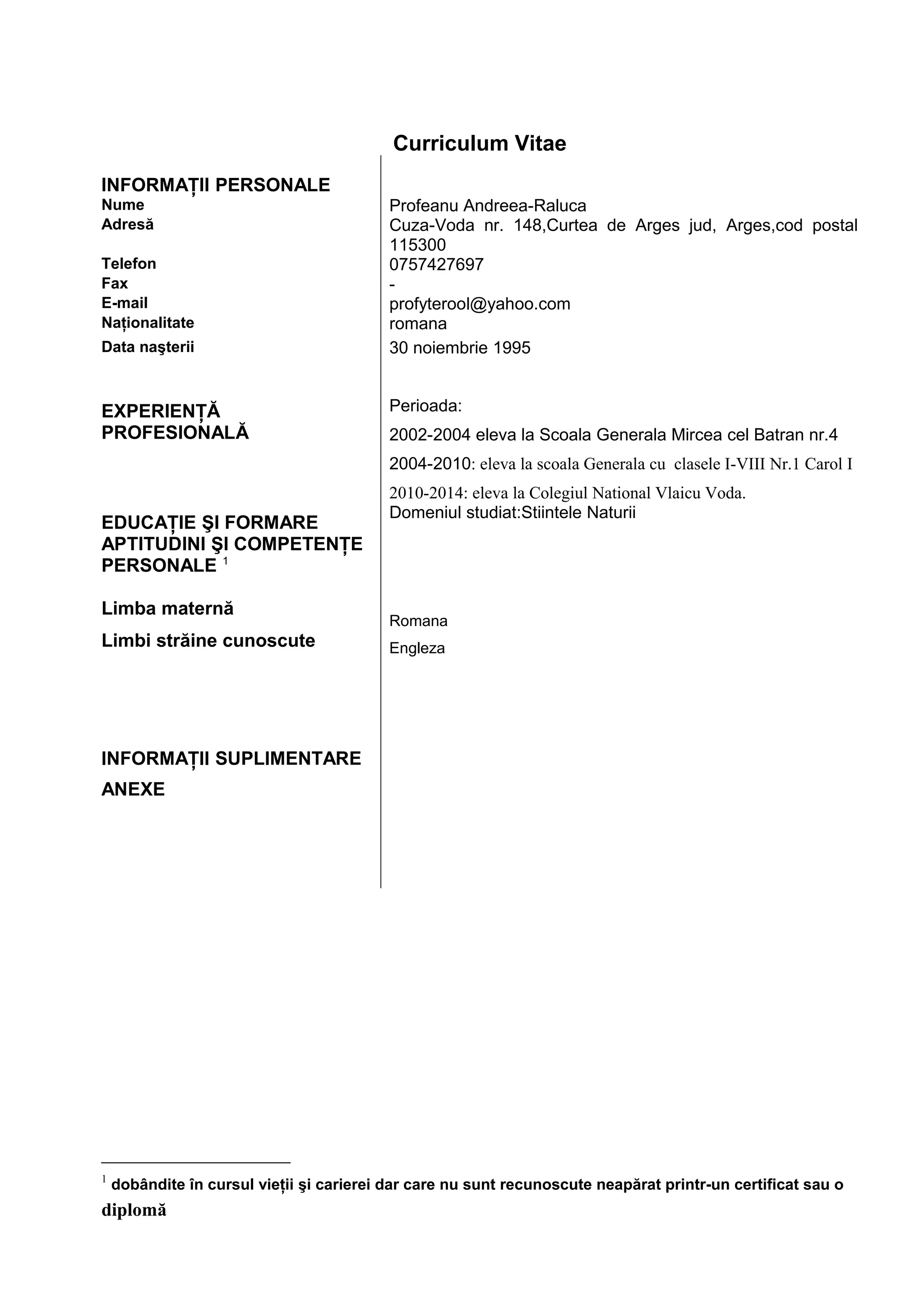 Model cv european (1) | DOC