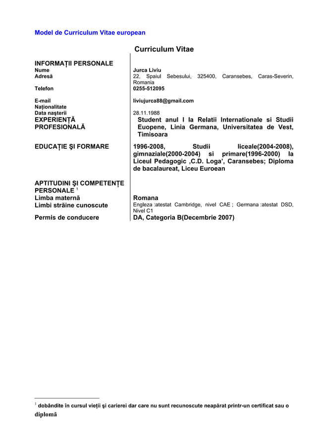Modeldecurriculumvitaeeuropean 2 | DOC