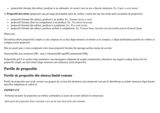 Modele_de_analiza_sintactica_si_morfolog.doc