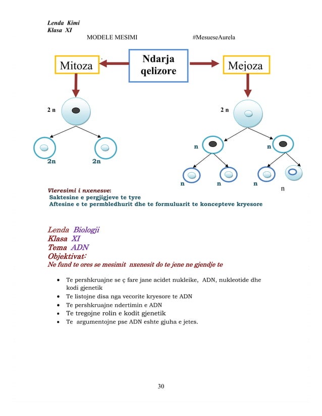 Modele mesimi kimi 11 | PDF