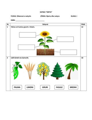Modele testesh per kl i | PDF