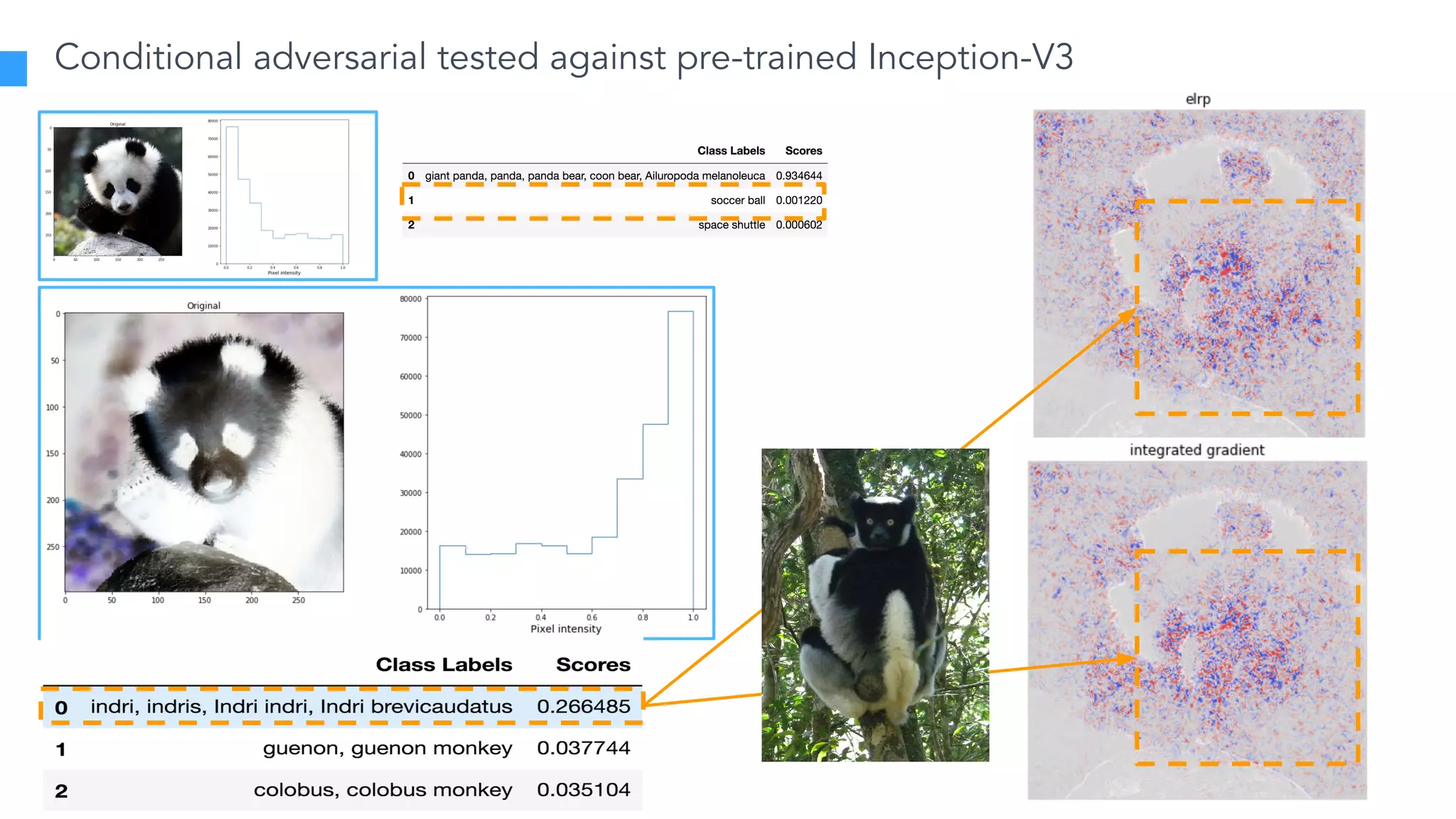 Model evaluation in the land of deep learning | PPT