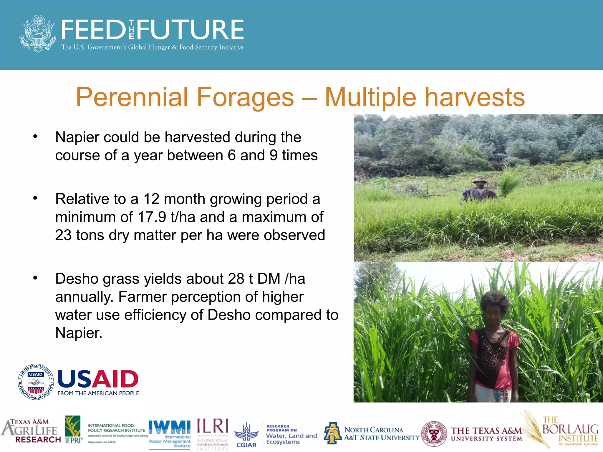 Experiences irrigated forages | PPT