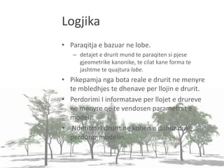 Modelimi i drurit duke u bazuar ne nderthurrjen e lobeve | PPTX