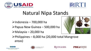 Modeling a nipa based biofuel industry | PPT