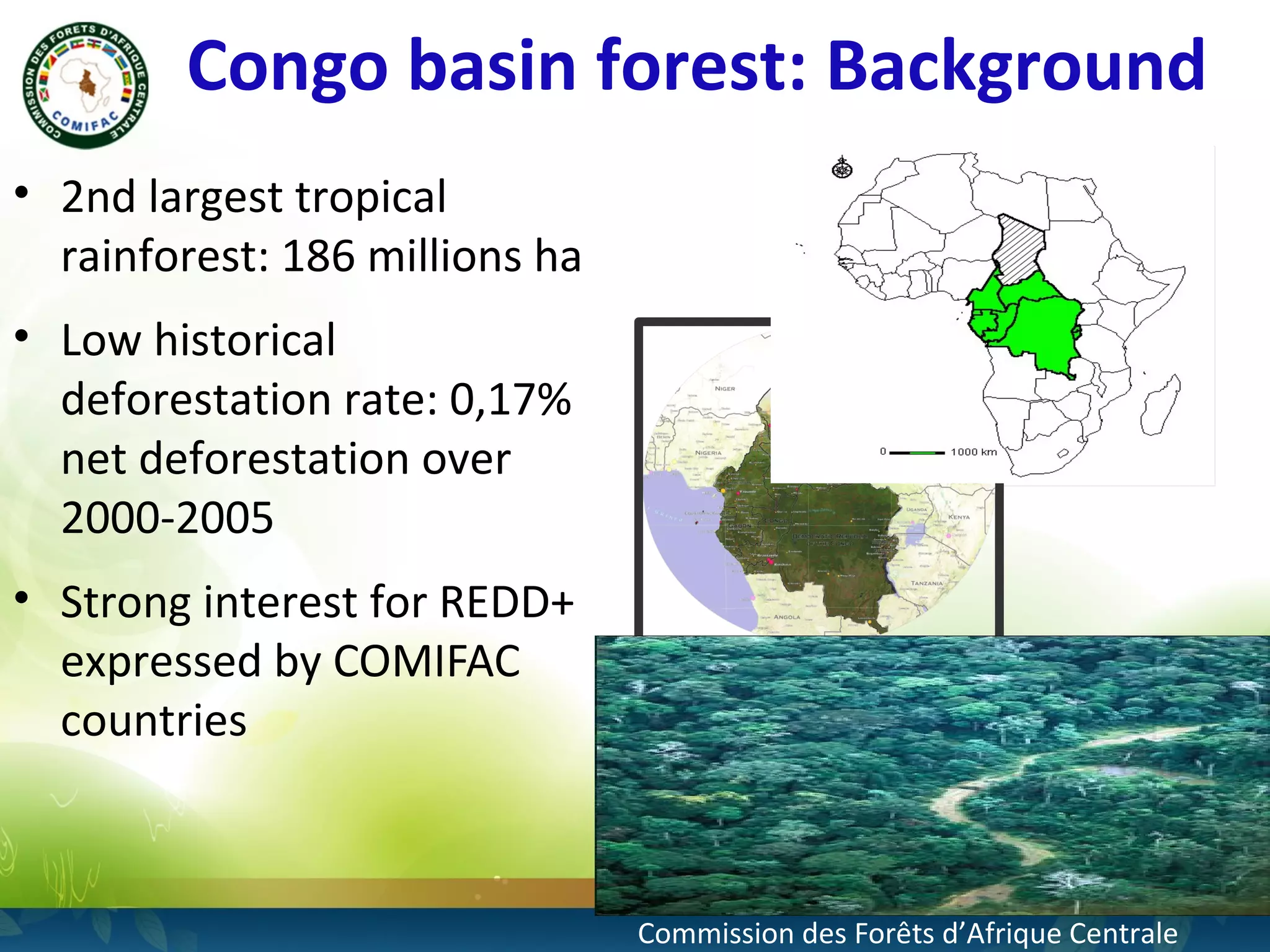 Modeling future deforestation and the impact on biodiversity in the ...