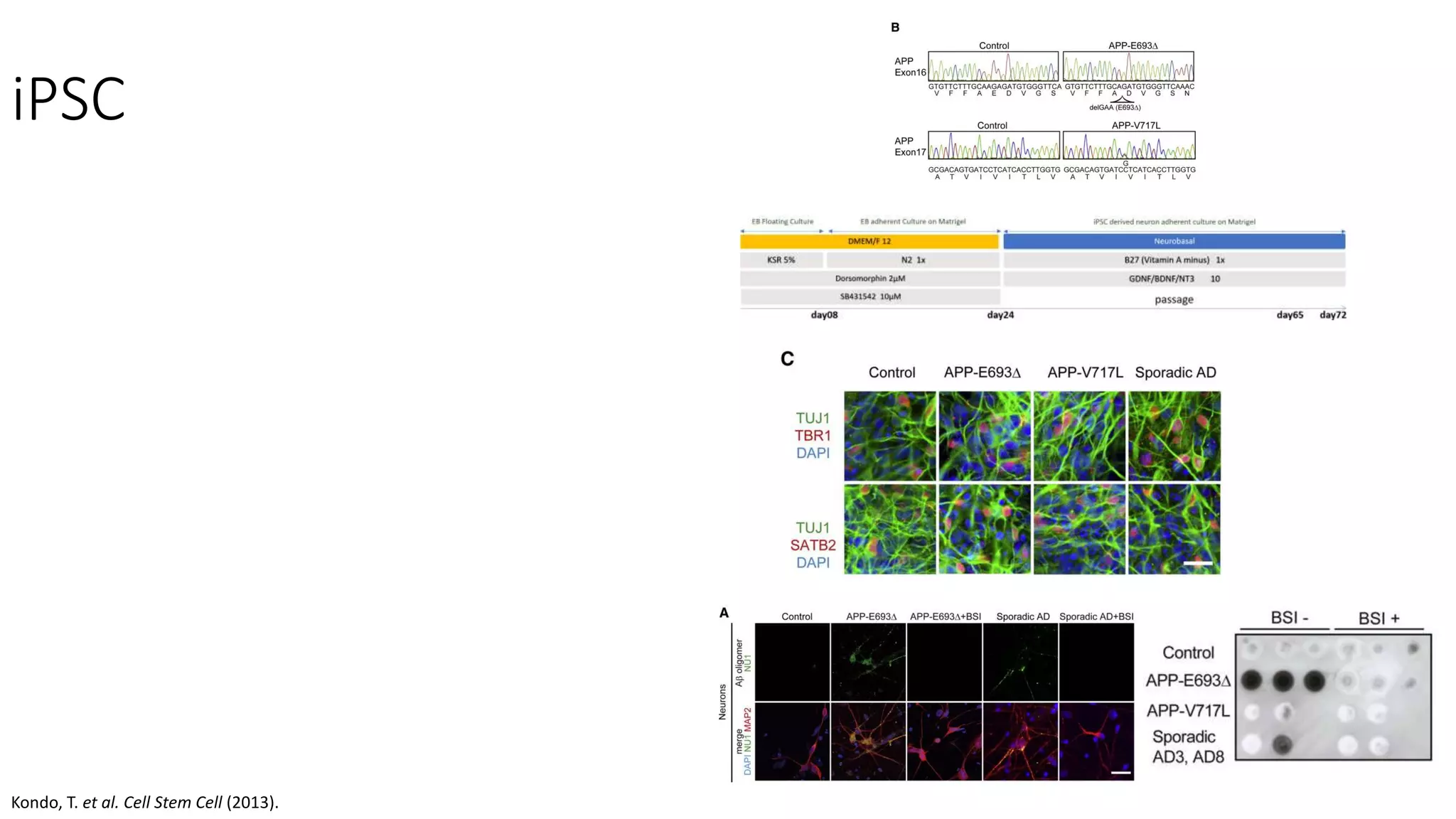 Modeling Human Disease with iPSC | PPTX