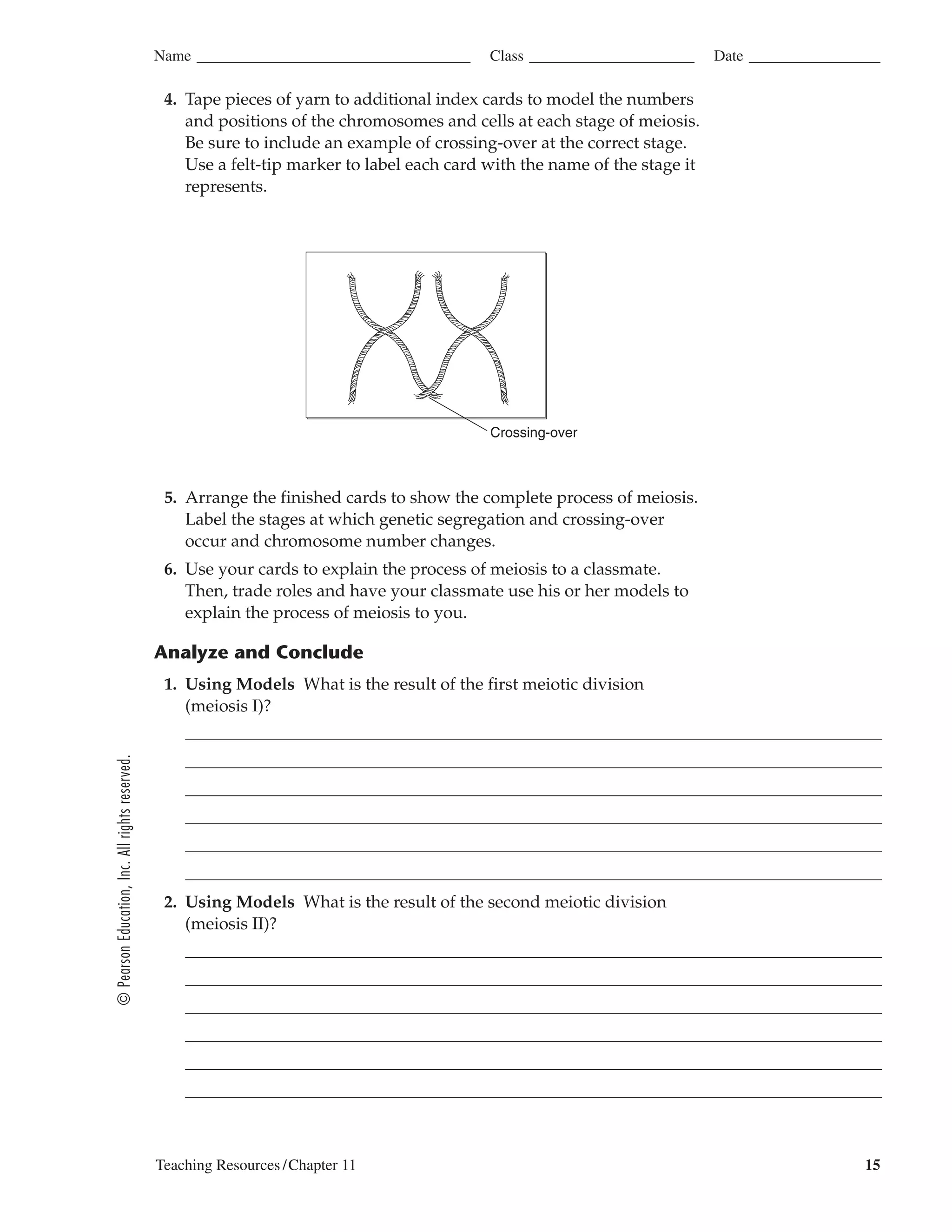 Modeling meiosis | PDF